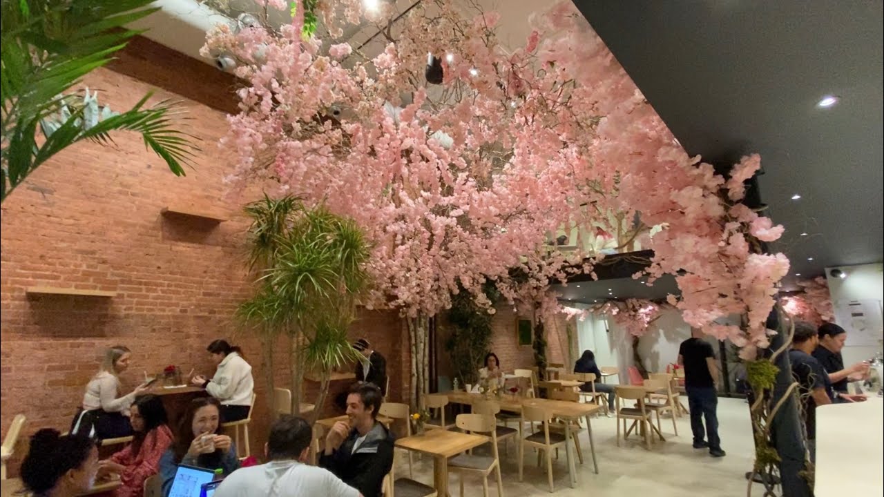 Descubre el Encanto del Ariston Bar: Tu Destino Perfecto para Disfrutar ...